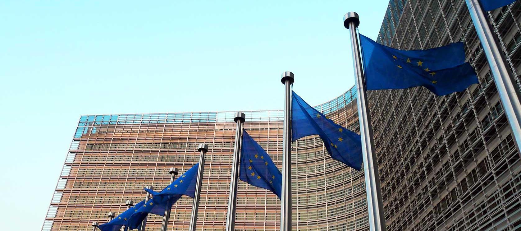 The HLEG. Europe's Call to Arms for Sustainable Finance - BNP Paribas CIB