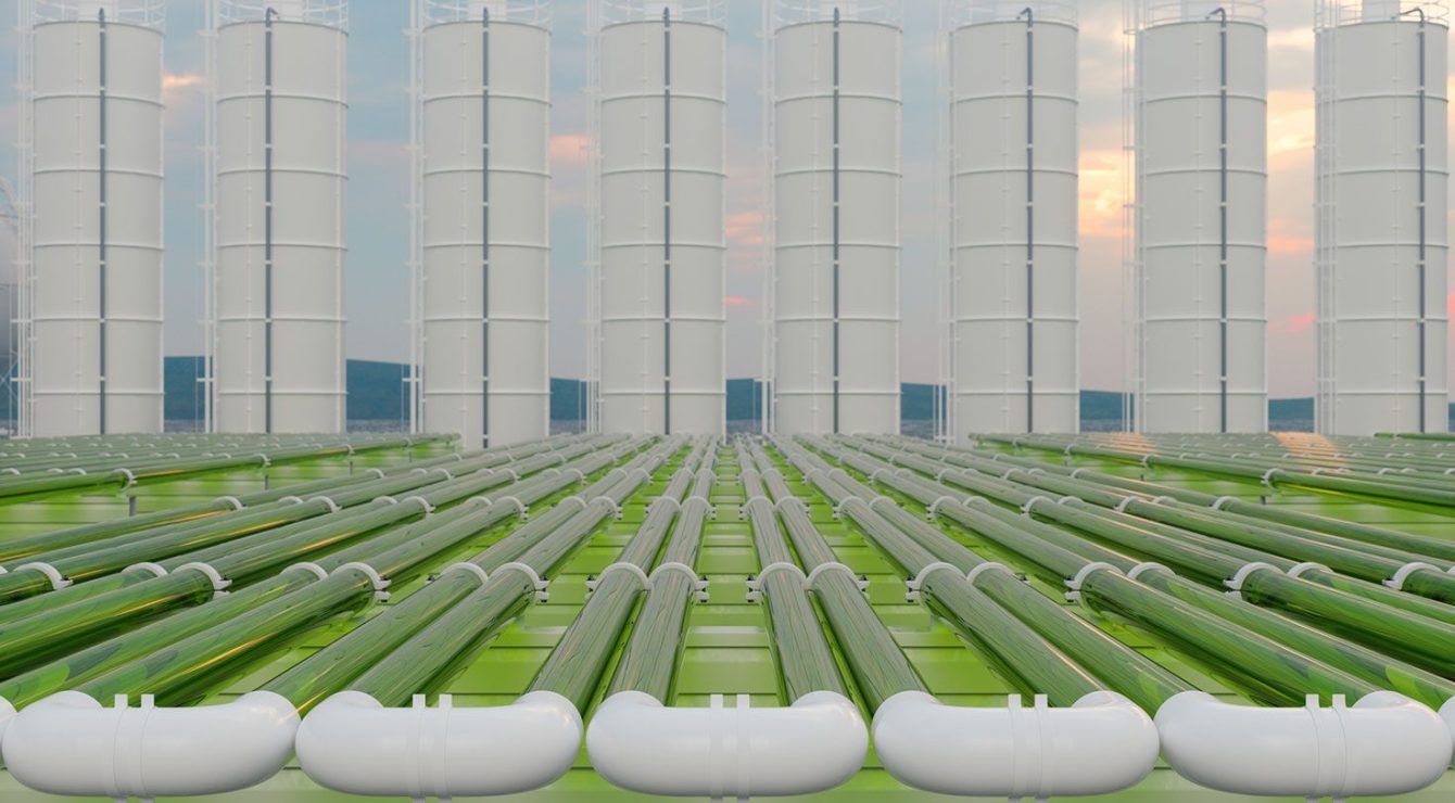 BNP Paribas CIB - The bank for a changing world