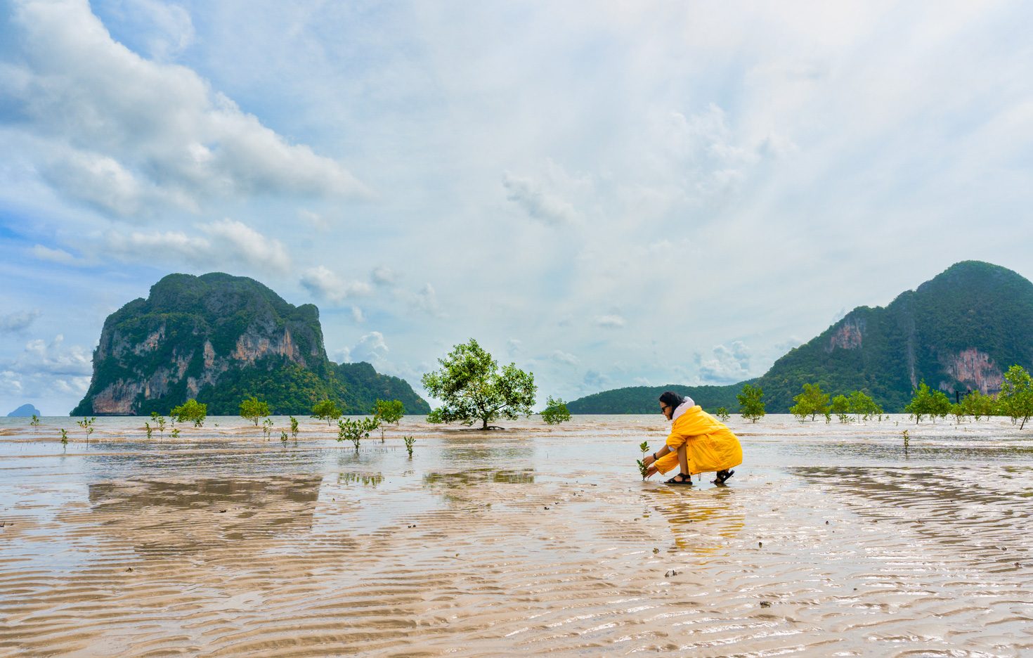 Asia sees resilient ESG outlook - BNP Paribas CIB